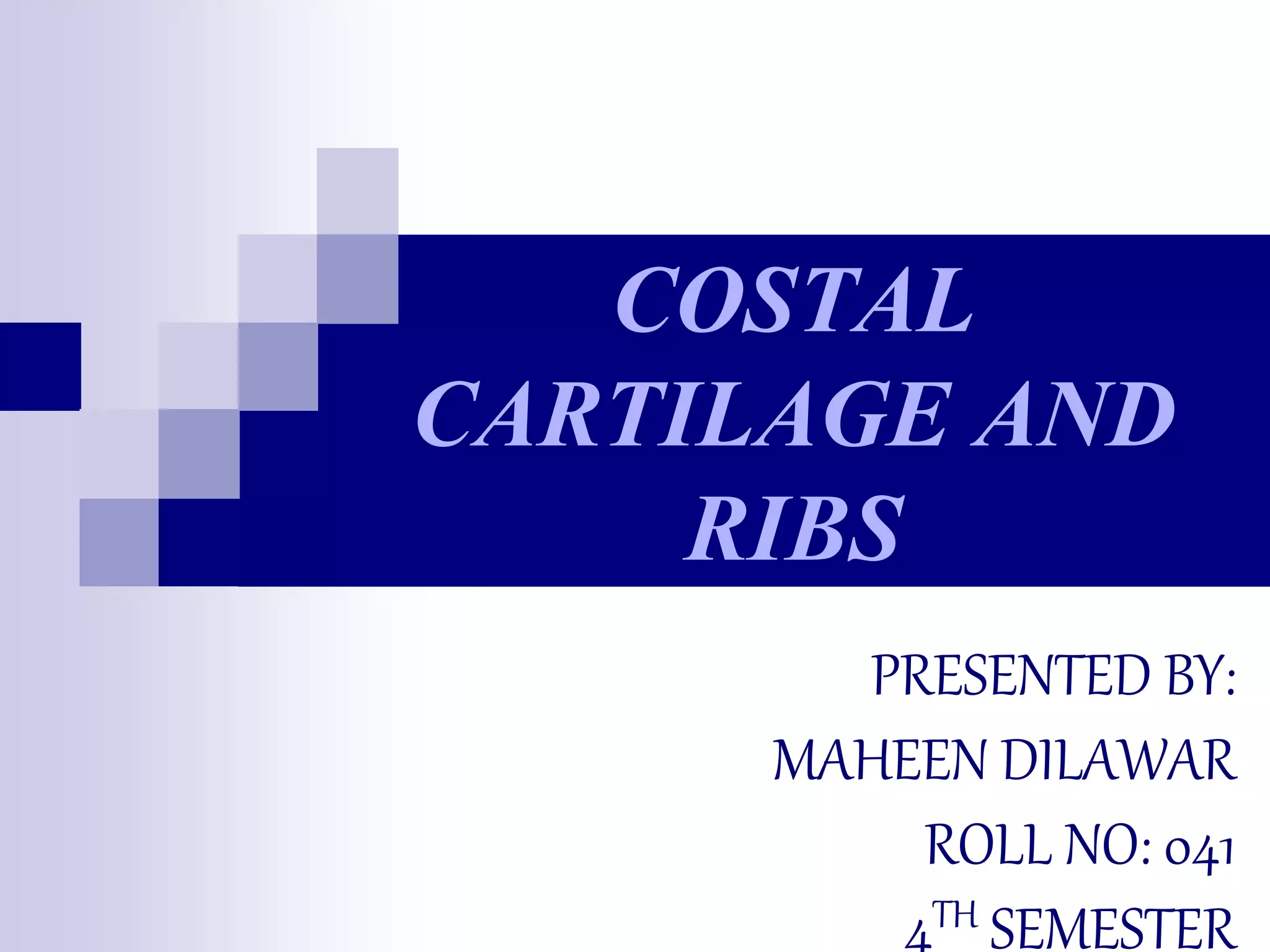Anatomy of Costal cartilage and Ribs | PPT