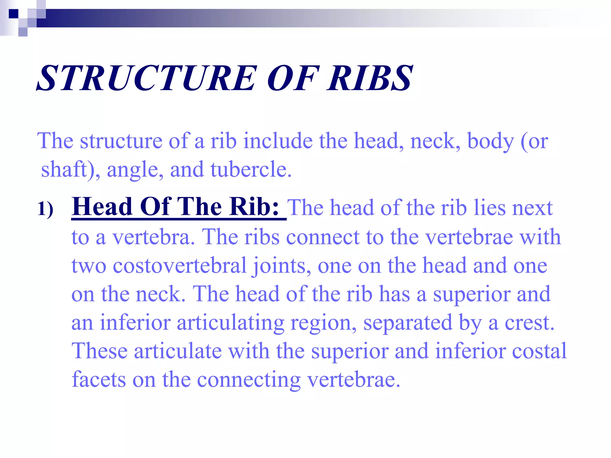 Anatomy of Costal cartilage and Ribs | PPT | Death, Injury, or Military ...