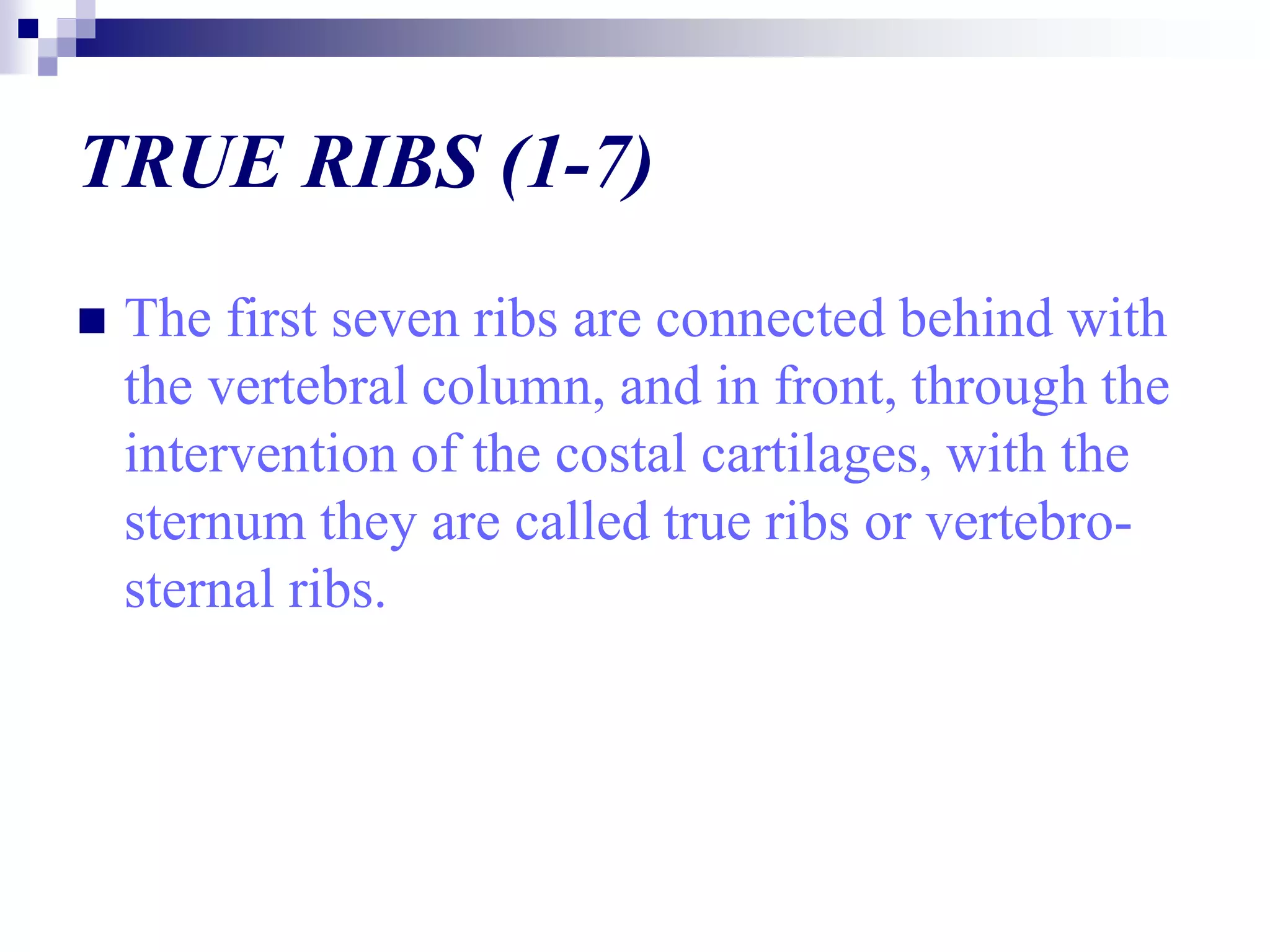 Anatomy of Costal cartilage and Ribs | PPT