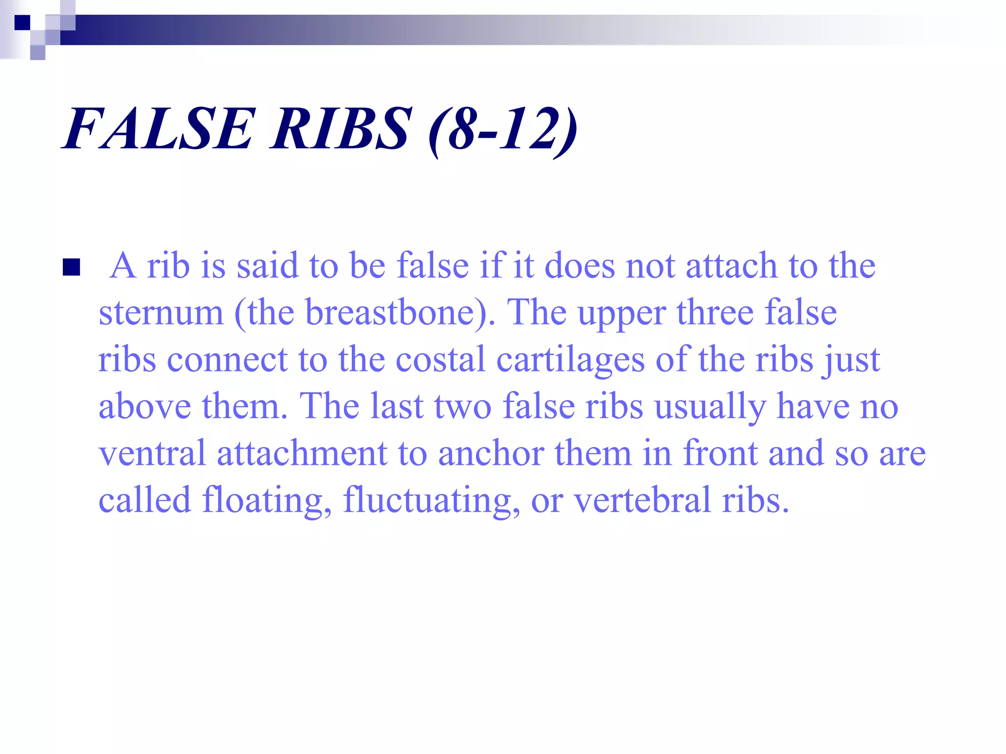 Anatomy of Costal cartilage and Ribs | PPT | Death, Injury, or Military ...