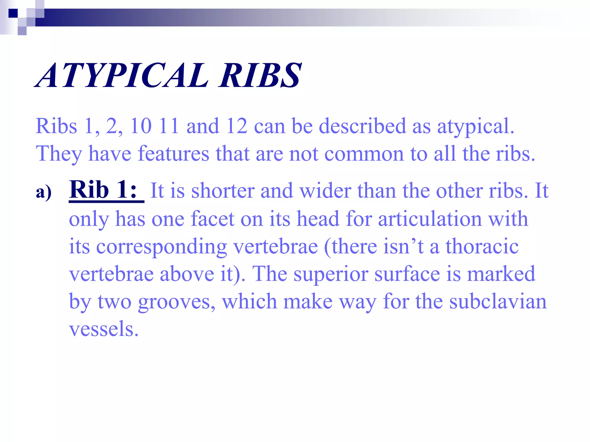 Anatomy of Costal cartilage and Ribs | PPT