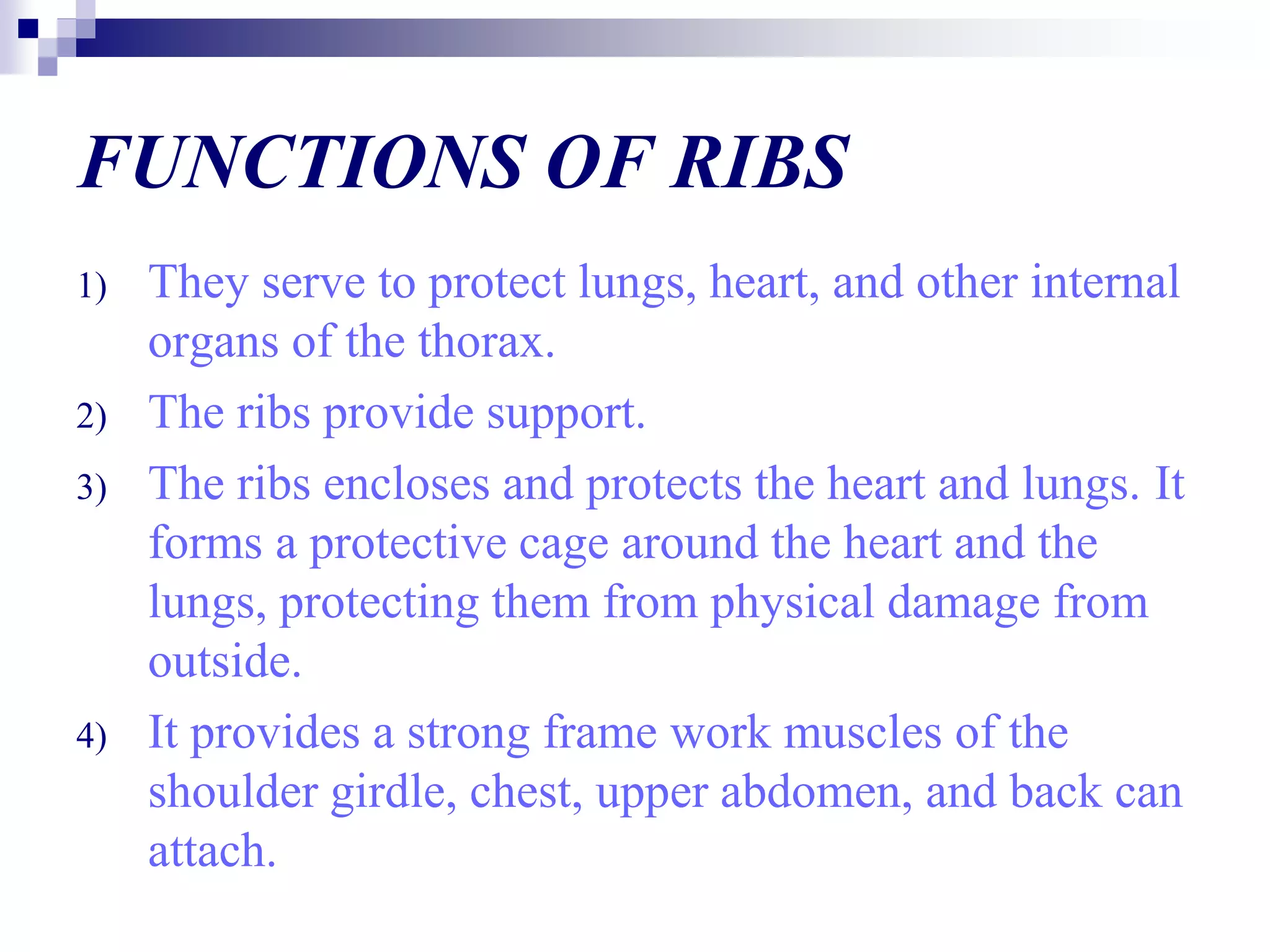 Anatomy of Costal cartilage and Ribs | PPT | Death, Injury, or Military ...
