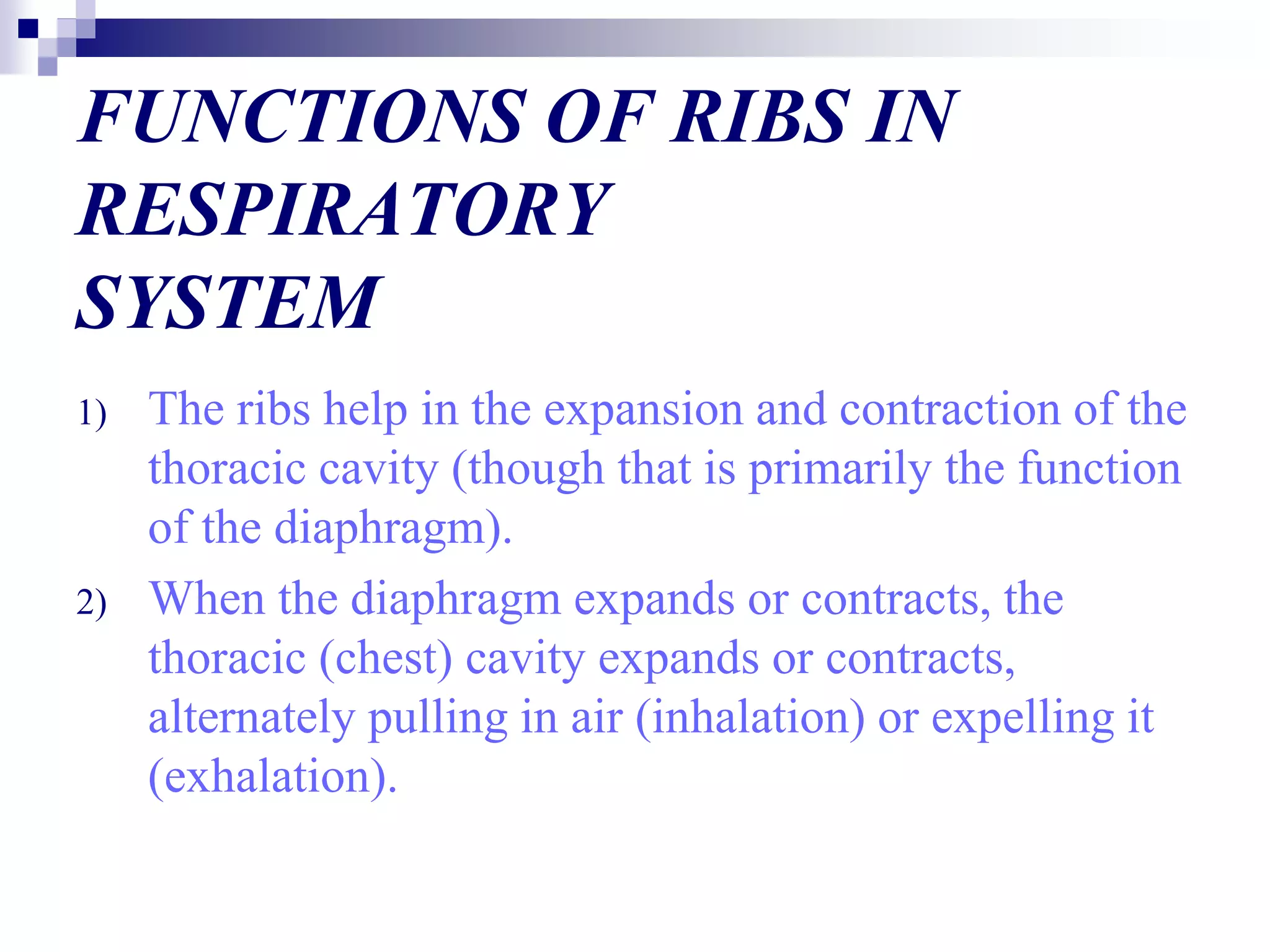 Anatomy of Costal cartilage and Ribs | PPT | Death, Injury, or Military ...