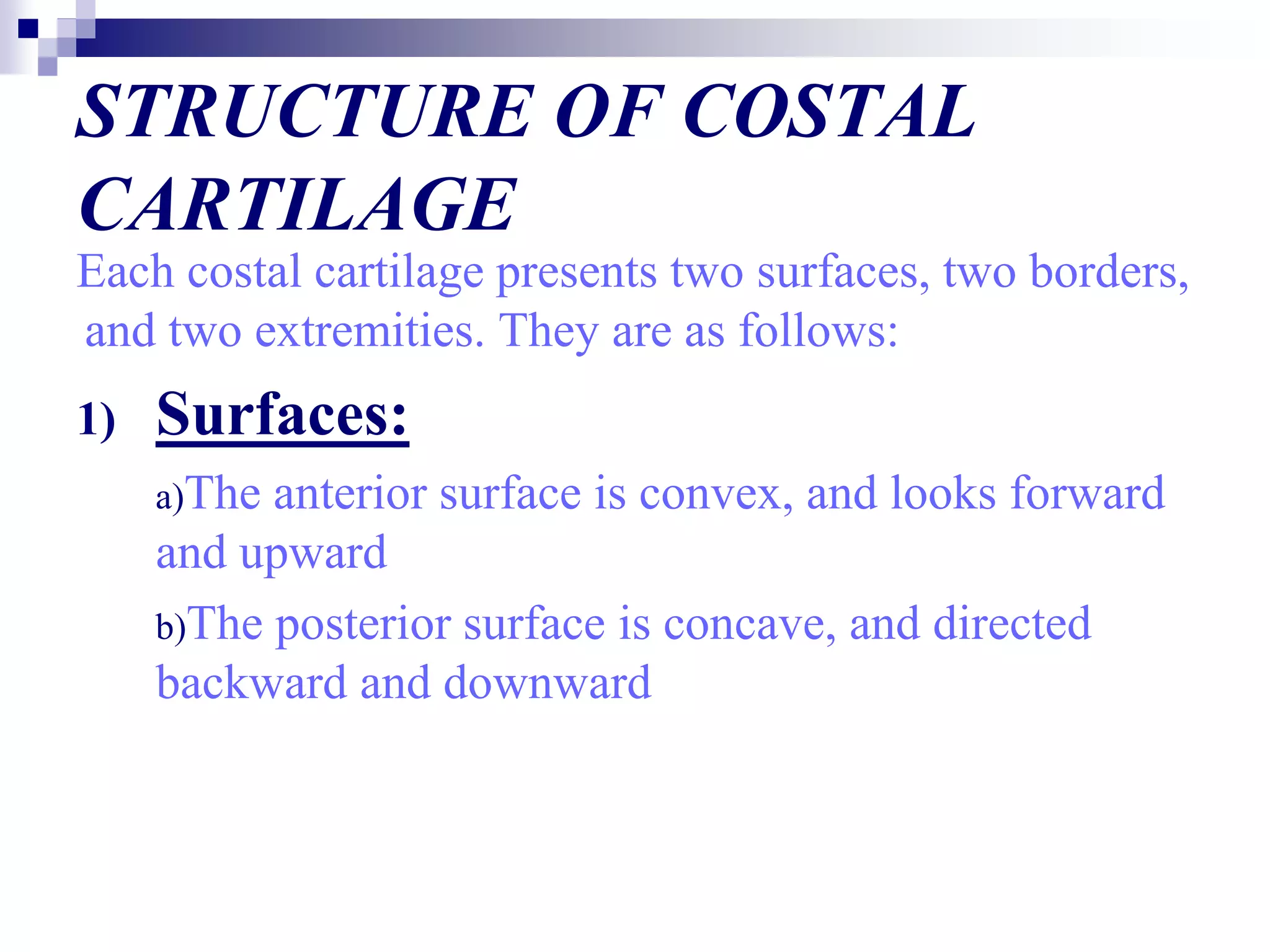 Anatomy of Costal cartilage and Ribs | PPT | Death, Injury, or Military ...