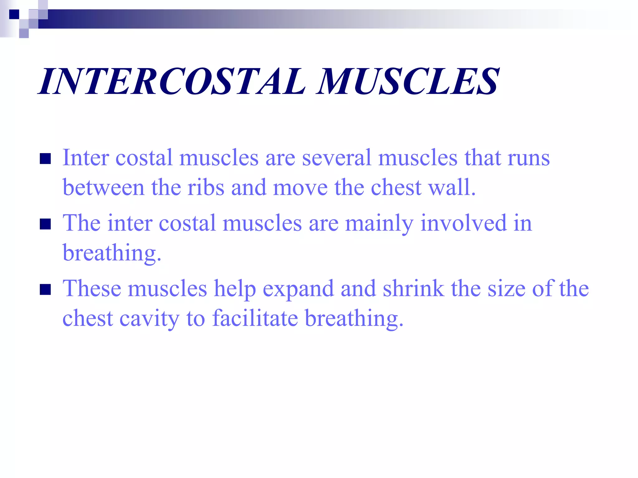 Anatomy of Costal cartilage and Ribs | PPT