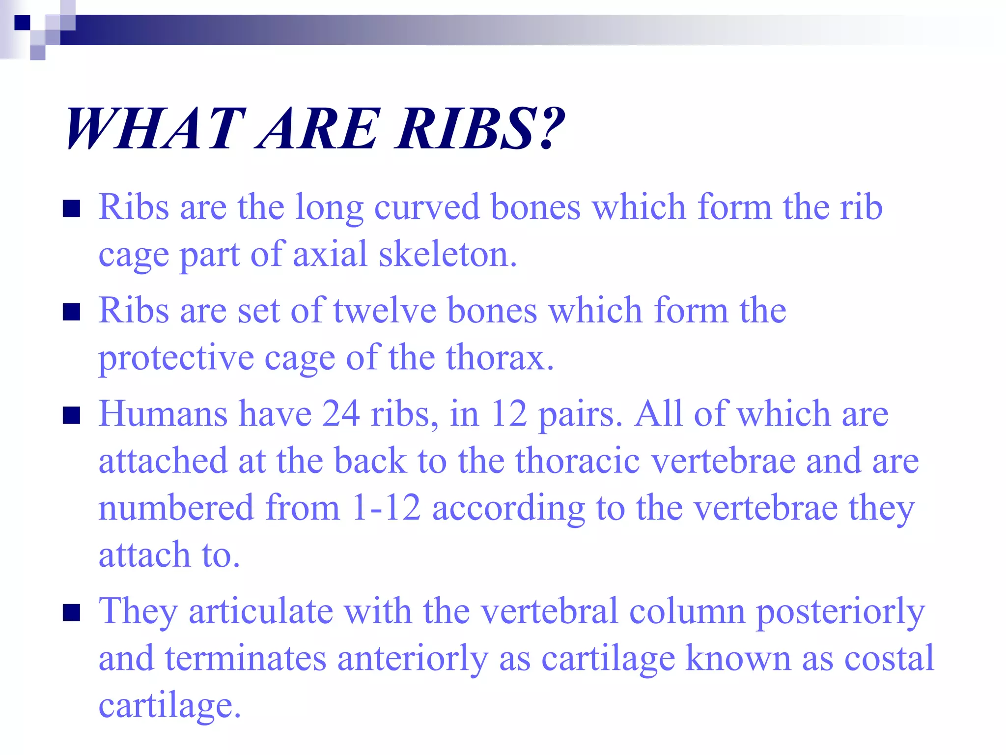 Anatomy of Costal cartilage and Ribs | PPT