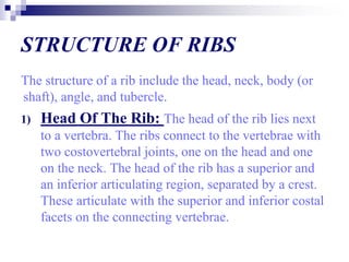 Anatomy of Costal cartilage and Ribs | PPT | Death, Injury, or Military ...