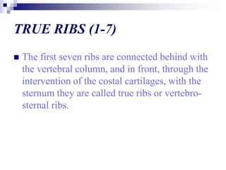 Anatomy of Costal cartilage and Ribs | PPT