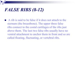 Anatomy of Costal cartilage and Ribs | PPT | Death, Injury, or Military ...