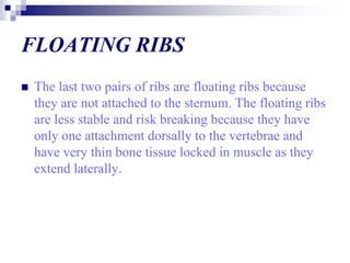 Anatomy of Costal cartilage and Ribs | PPT