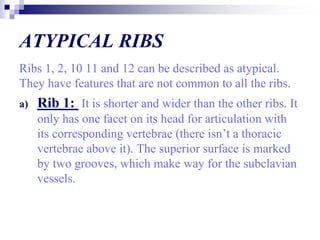 Anatomy of Costal cartilage and Ribs | PPT | Death, Injury, or Military ...