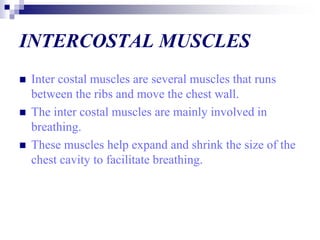 Anatomy of Costal cartilage and Ribs | PPT