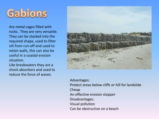 Costal Protection | PPTX