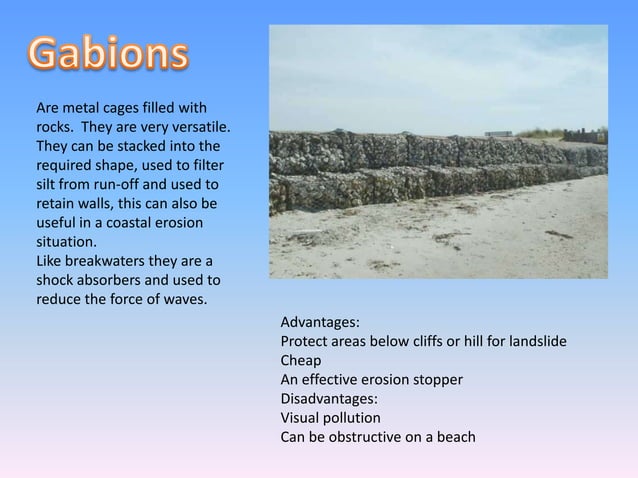 Costal Protection | PPTX