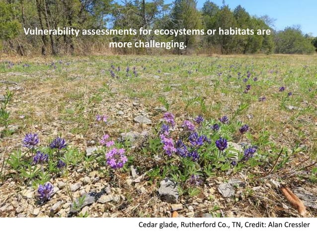 Assessing ecosystem vulnerability | PPT