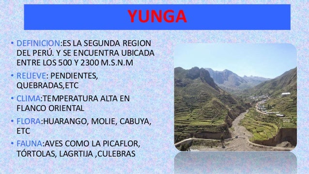 Las ocho regiones del Perú