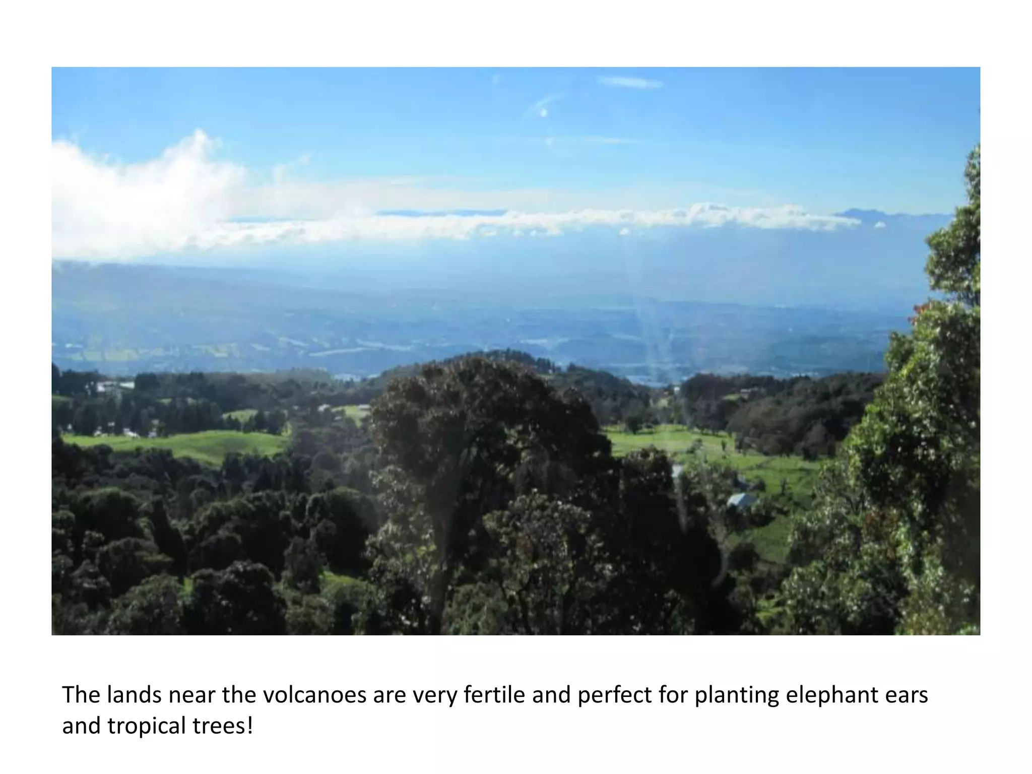 Costa Rica Powerpoint | PPTX