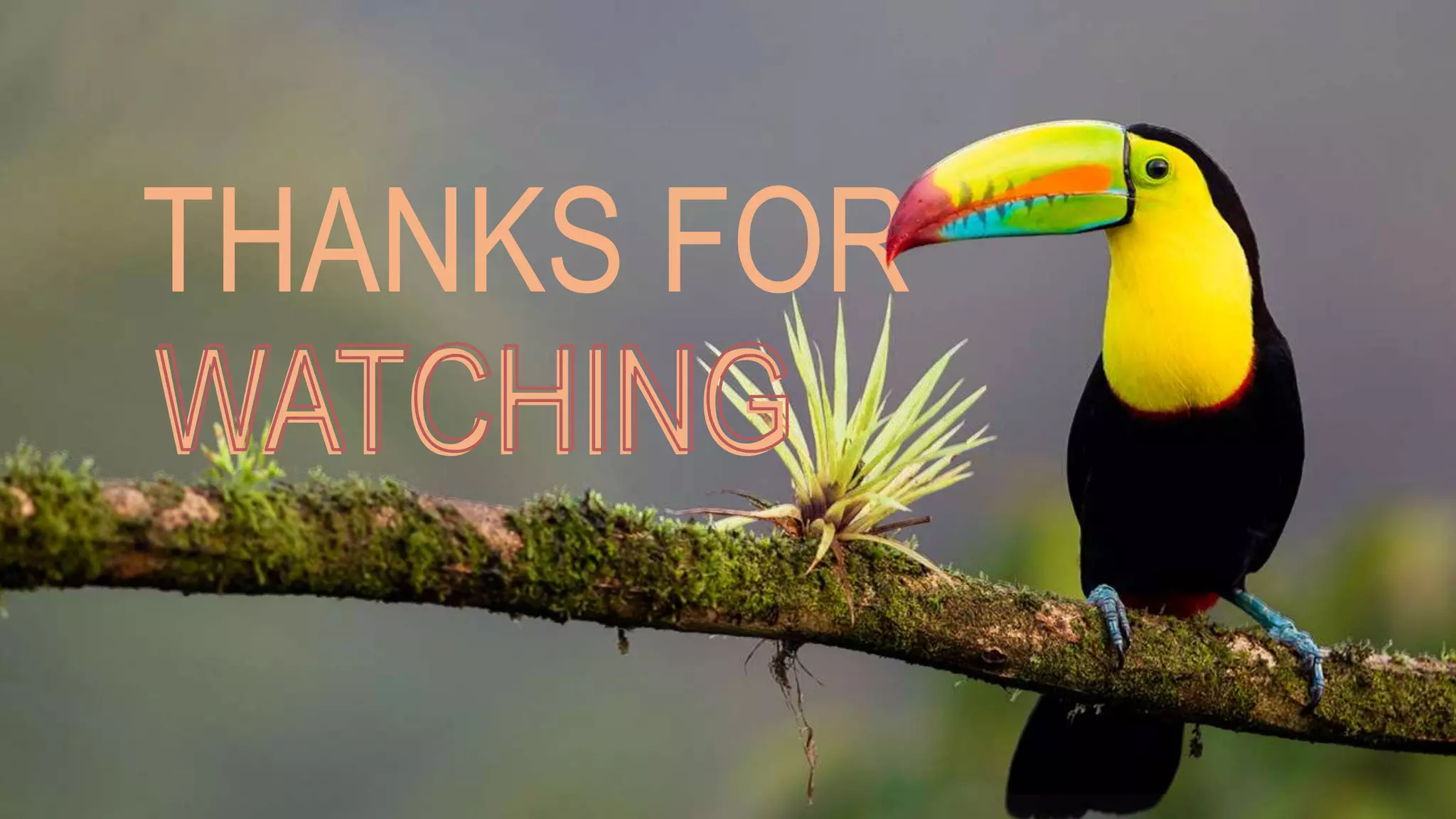 Costa+Rica+PowerPoint+Morph+Animation+Template+Orange+variant.pptx