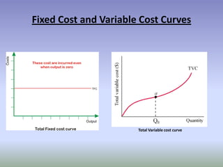 Cost curves | PPT