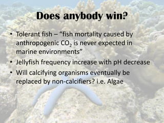 Paper discussion Fabry et al. 2008 | PDF | Chemistry | Science