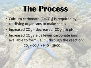 Paper discussion Fabry et al. 2008 | PDF | Chemistry | Science