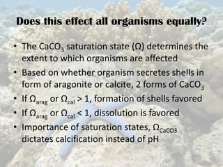 Paper discussion Fabry et al. 2008 | PDF | Chemistry | Science