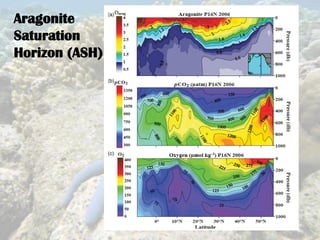 Paper discussion Fabry et al. 2008 | PPT