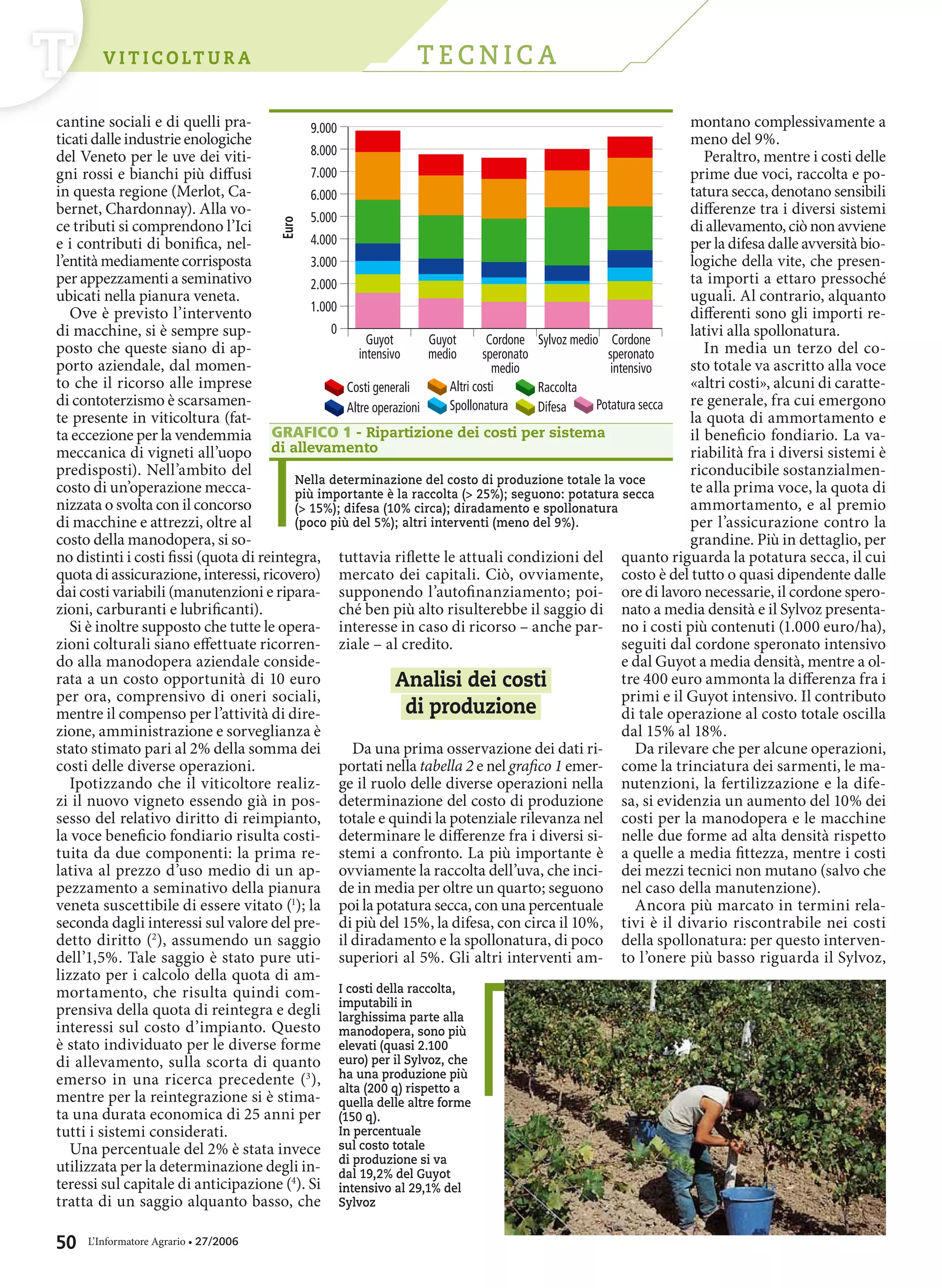 Costi di produzione forme di allevamento | PDF