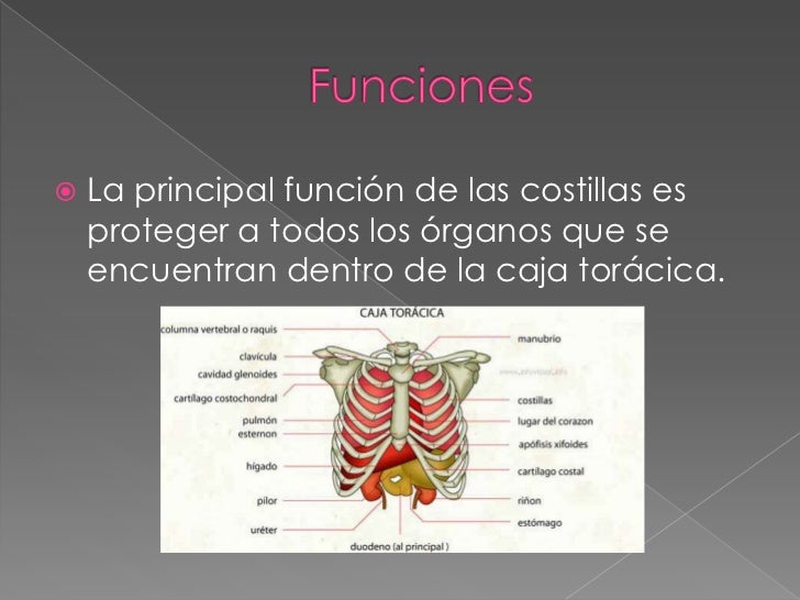 Costillas