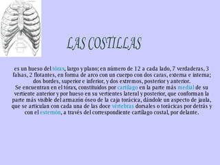 COSTILLAS | PPT