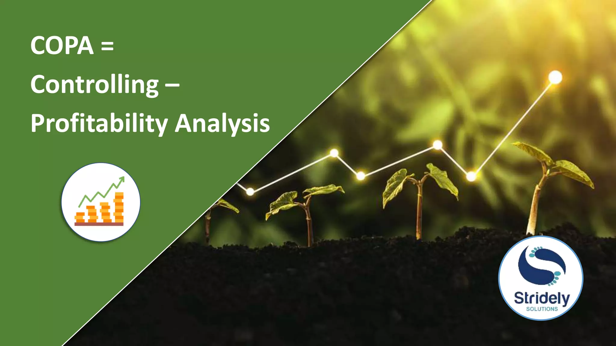 SAP CO-PA (Controlling-Profitability Analysis) | PPTX