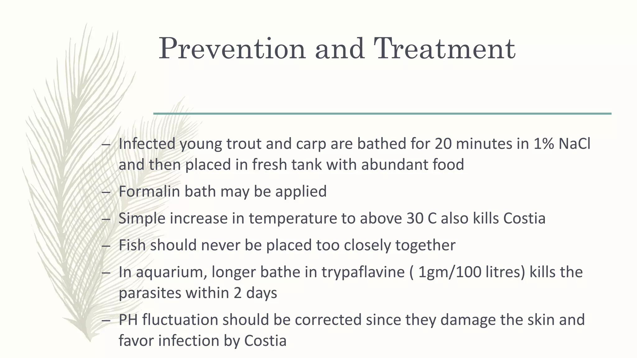Costiosis / Ichthyobodosis | PPTX