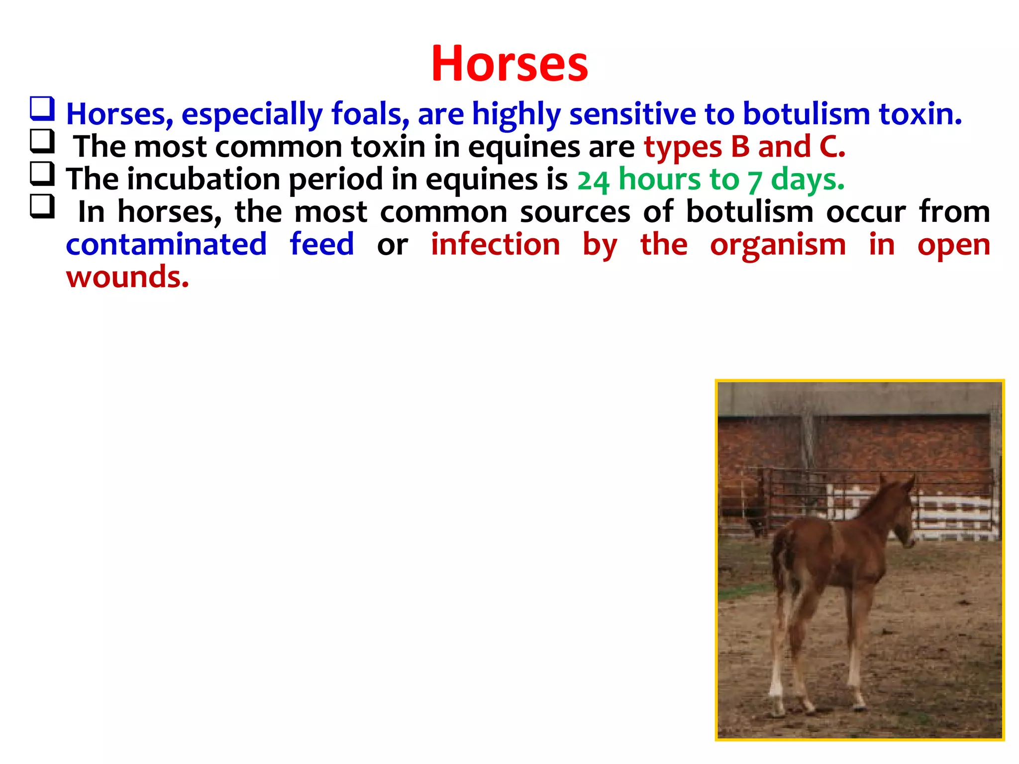 Costridial toxins botulinum toxin | PPT