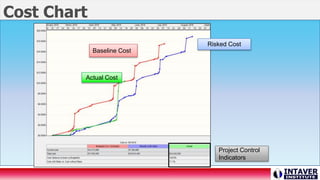 Project Cost Risk Analysis - Reporting | PPTX