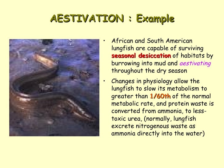 Costs Benefits Consequences