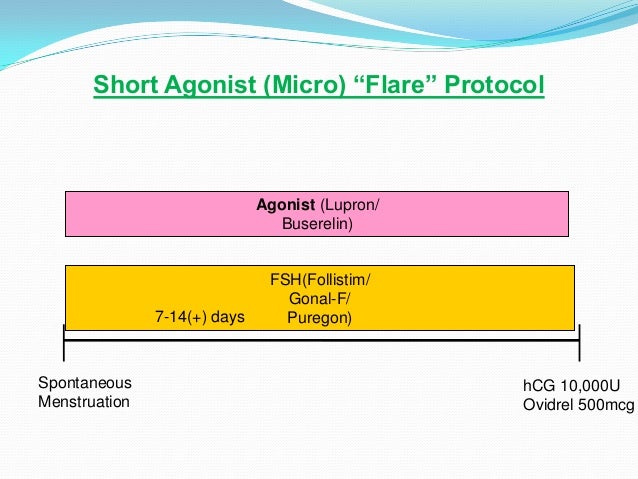 Individualizing Ovarian Stimulation Protocols for IVF