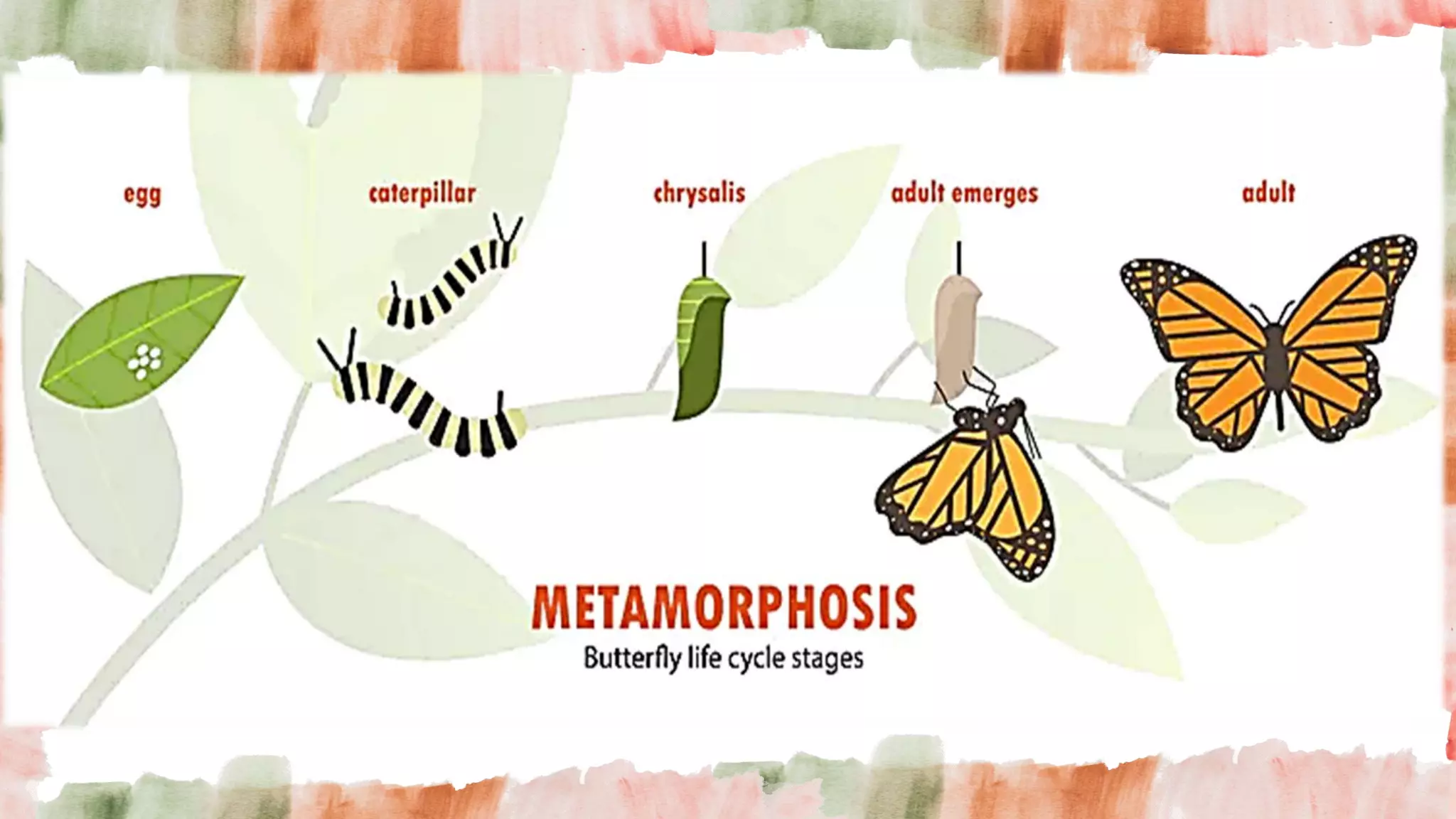 COT-1-TEKSTONG-PROSIDYURAL.pptx