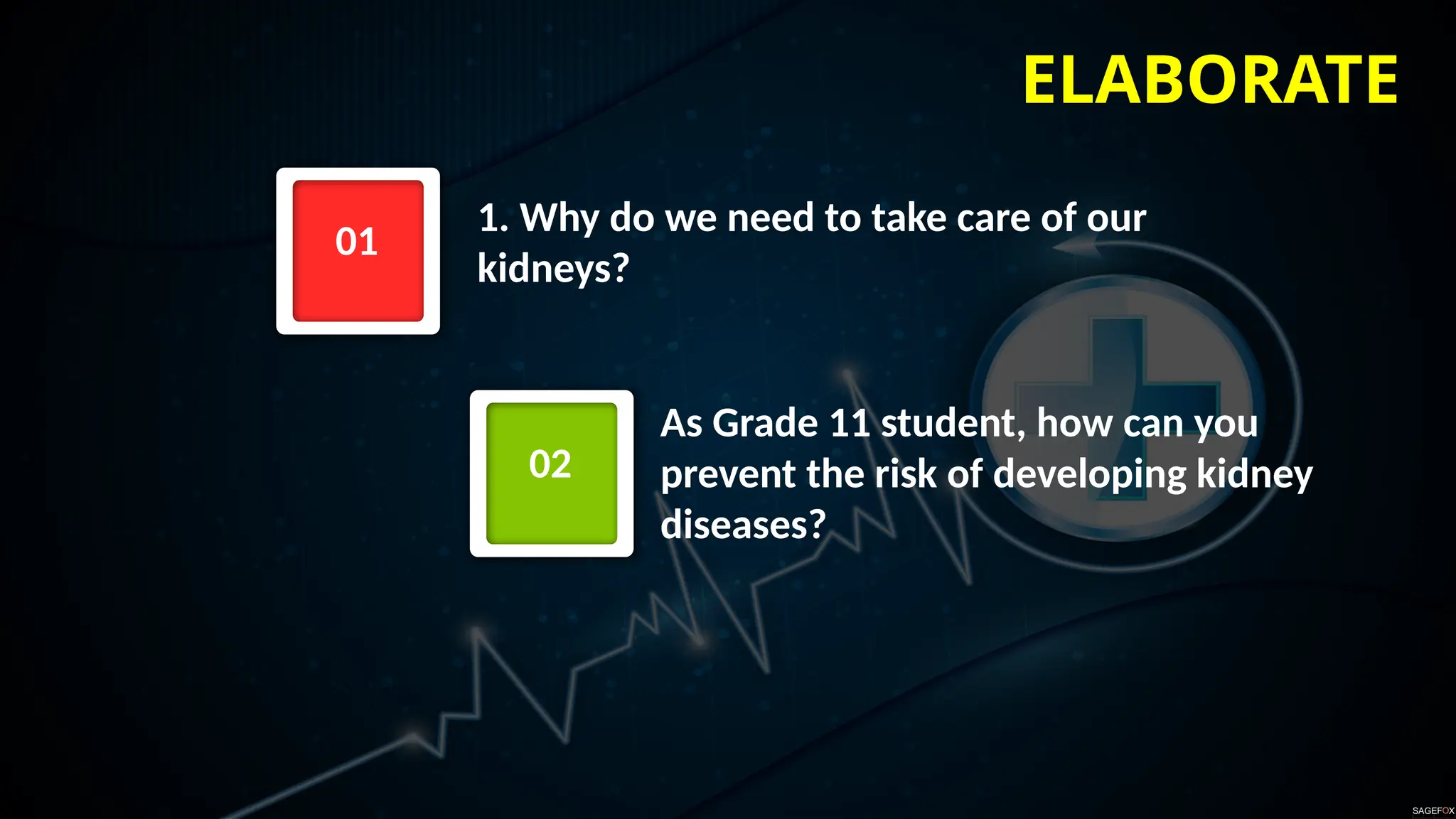 COT-2 urinary system PowerPoint presentation | PPTX
