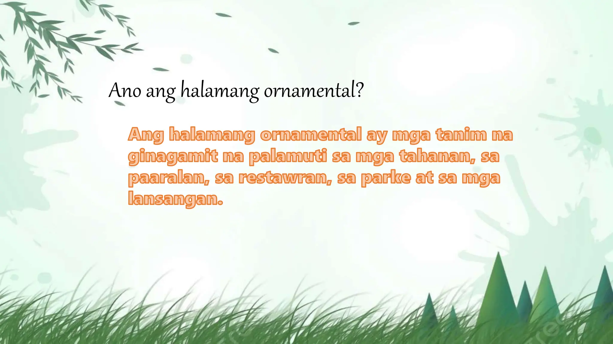 Mga Pakinabang ng Halamang Ornamental Q3 | PPTX