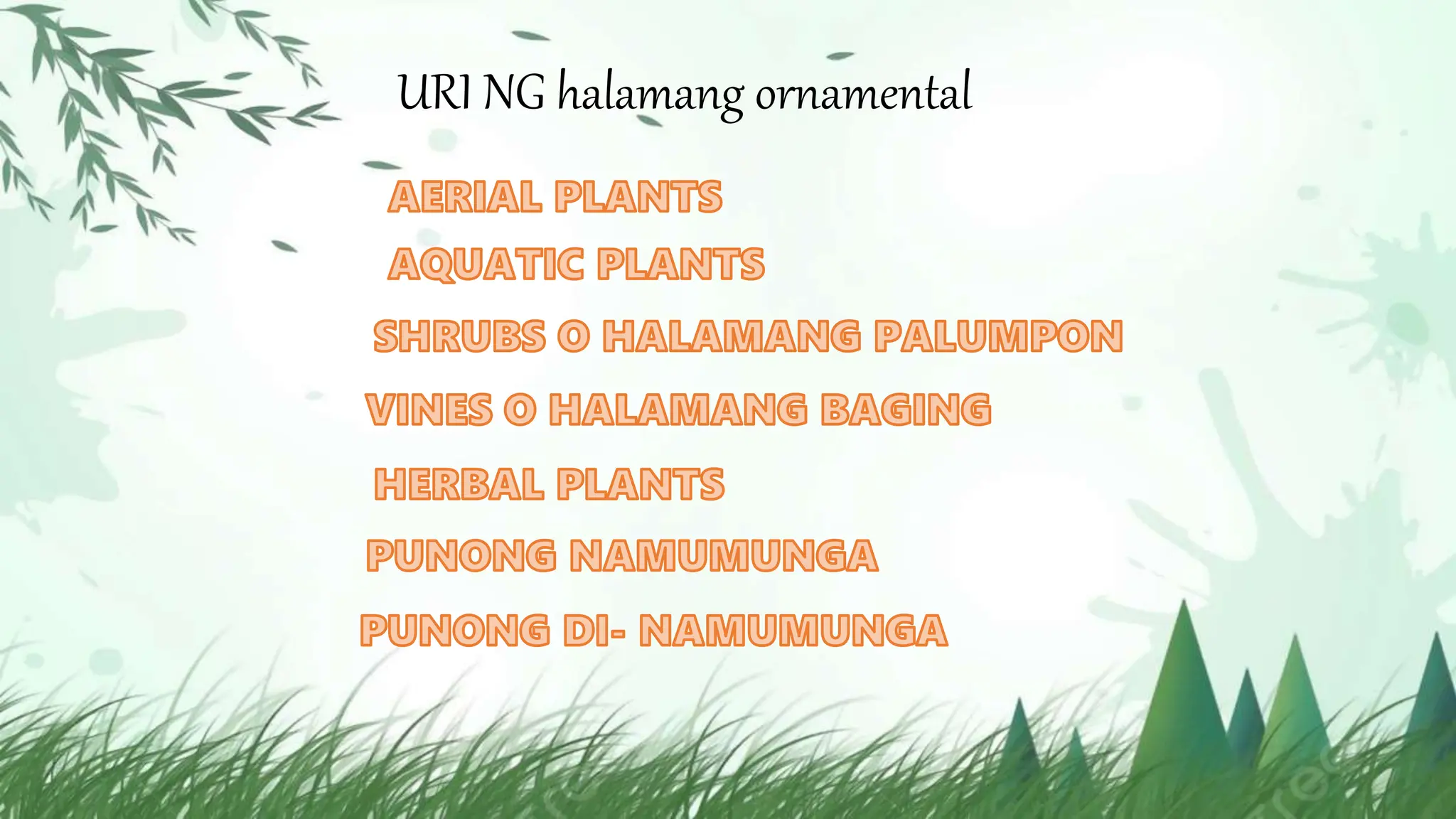 Mga Pakinabang ng Halamang Ornamental Q3 | PPTX