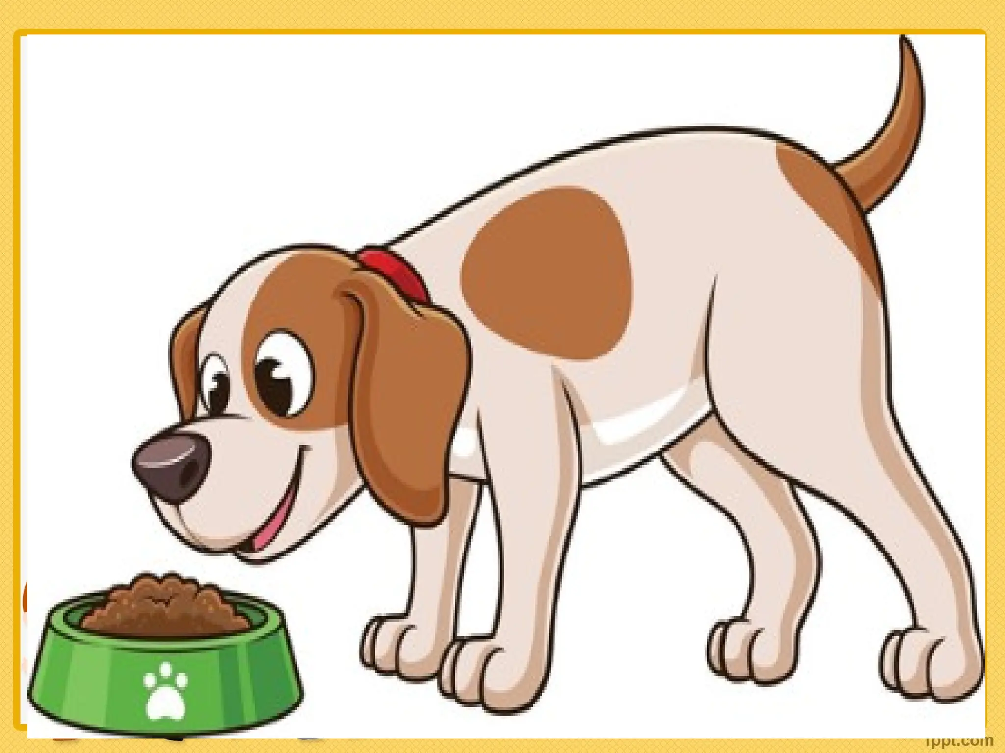 English Classroom Observation in Grade 2 | PPT