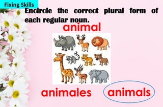 COT-ENGLISH3-Q1-PPT.pptx singular and plural nouns | PPTX
