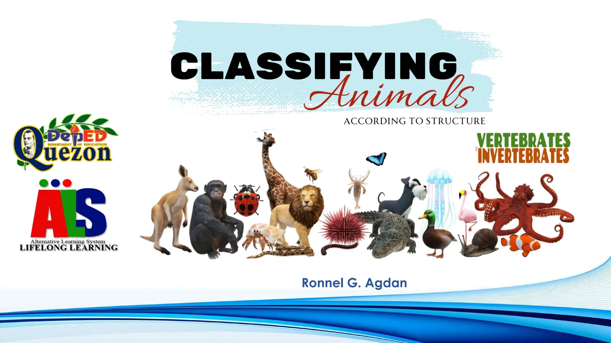 COT - LS2 - Classification of Animals.ppt