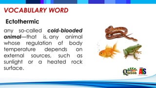 COT - LS2 - Classification of Animals.ppt