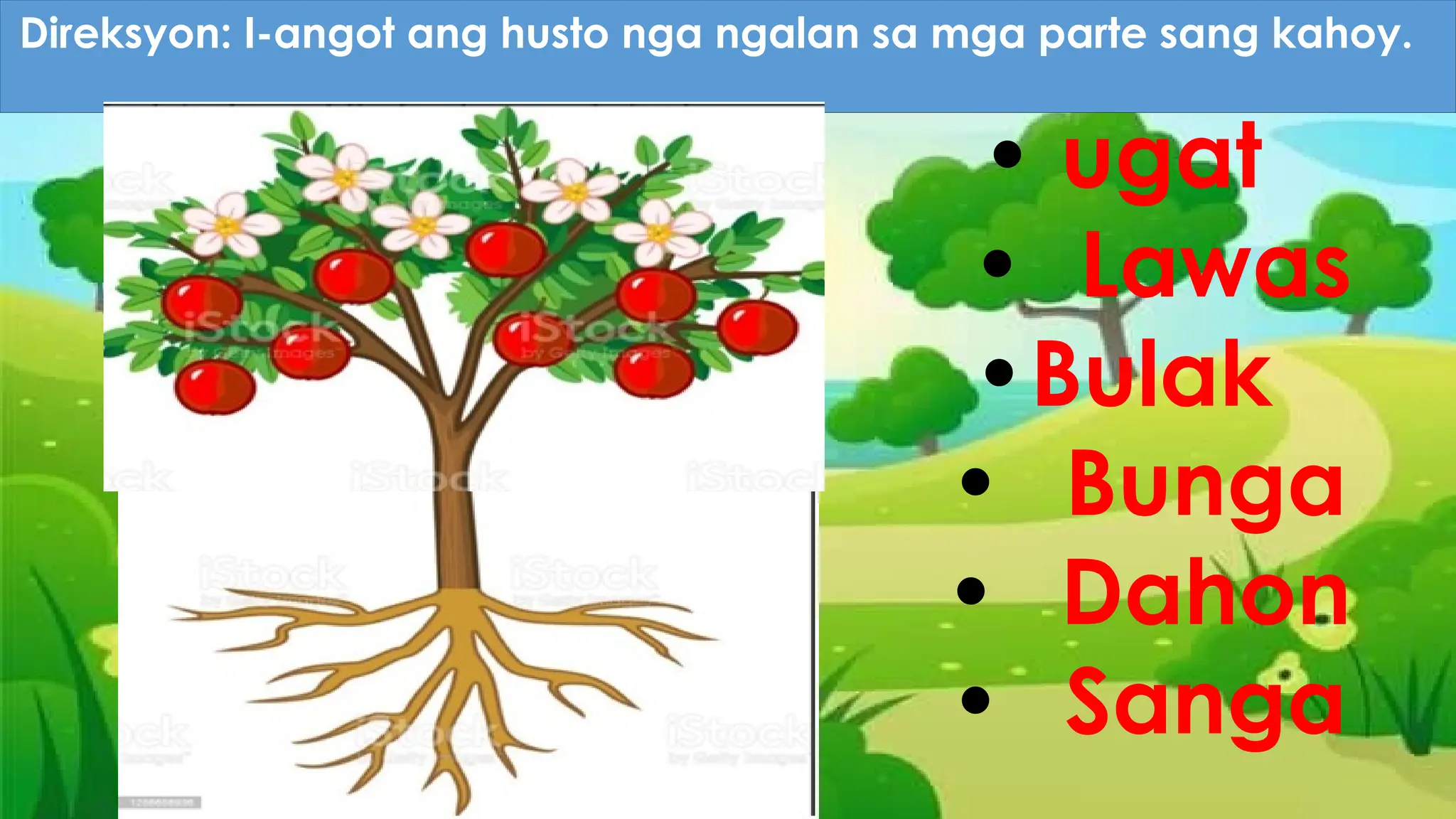 COT-Presentation (1).pptx COT PRESENTATION | PPT