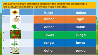 COT-Presentation (1).pptx COT PRESENTATION | PPT