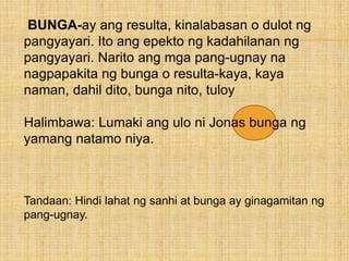 Sanhi-at-Bunga.pptx