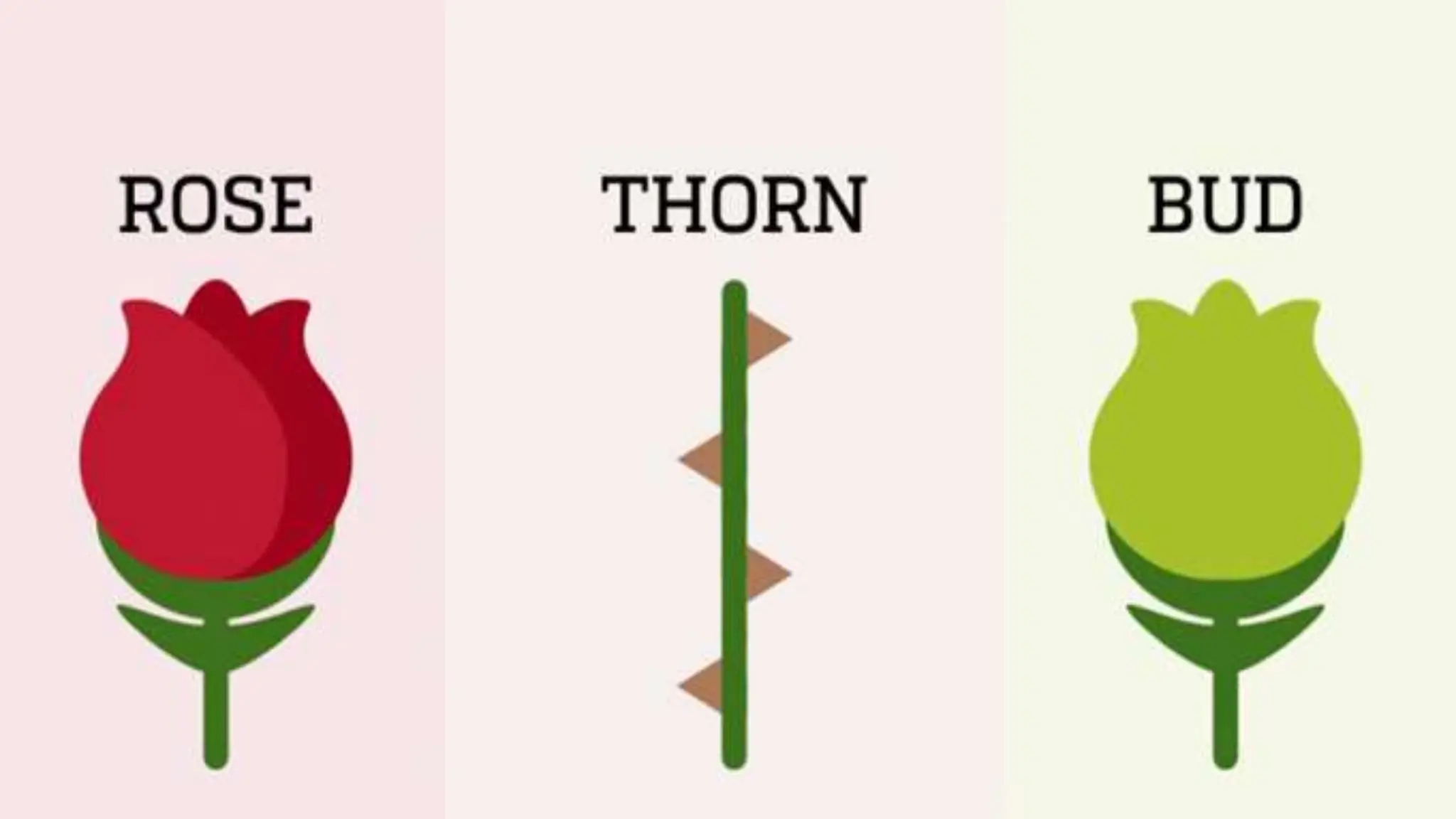 COT 1-CHANGES THAT SOLID MATERIALS UNDERGO-OCTOBER24.pptx