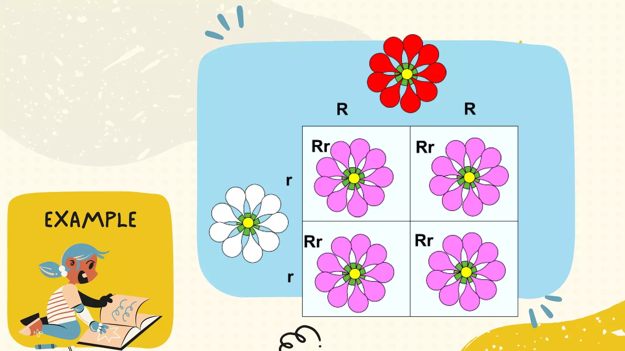 INCOMPLETE DOMINANCE.pdf