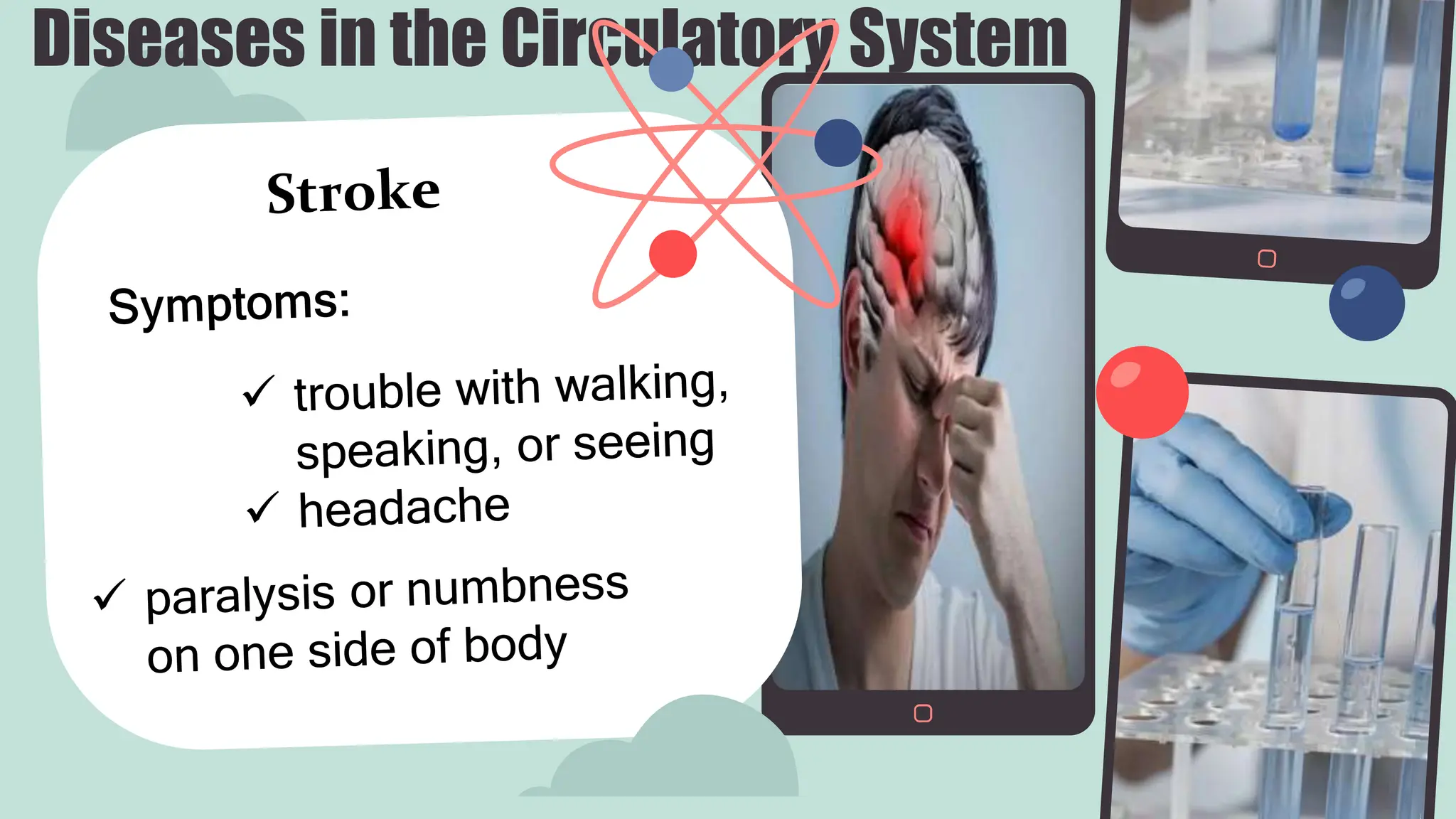 Diseases of Respiratory and Circulatory System.pptx | Illegal Drugs ...